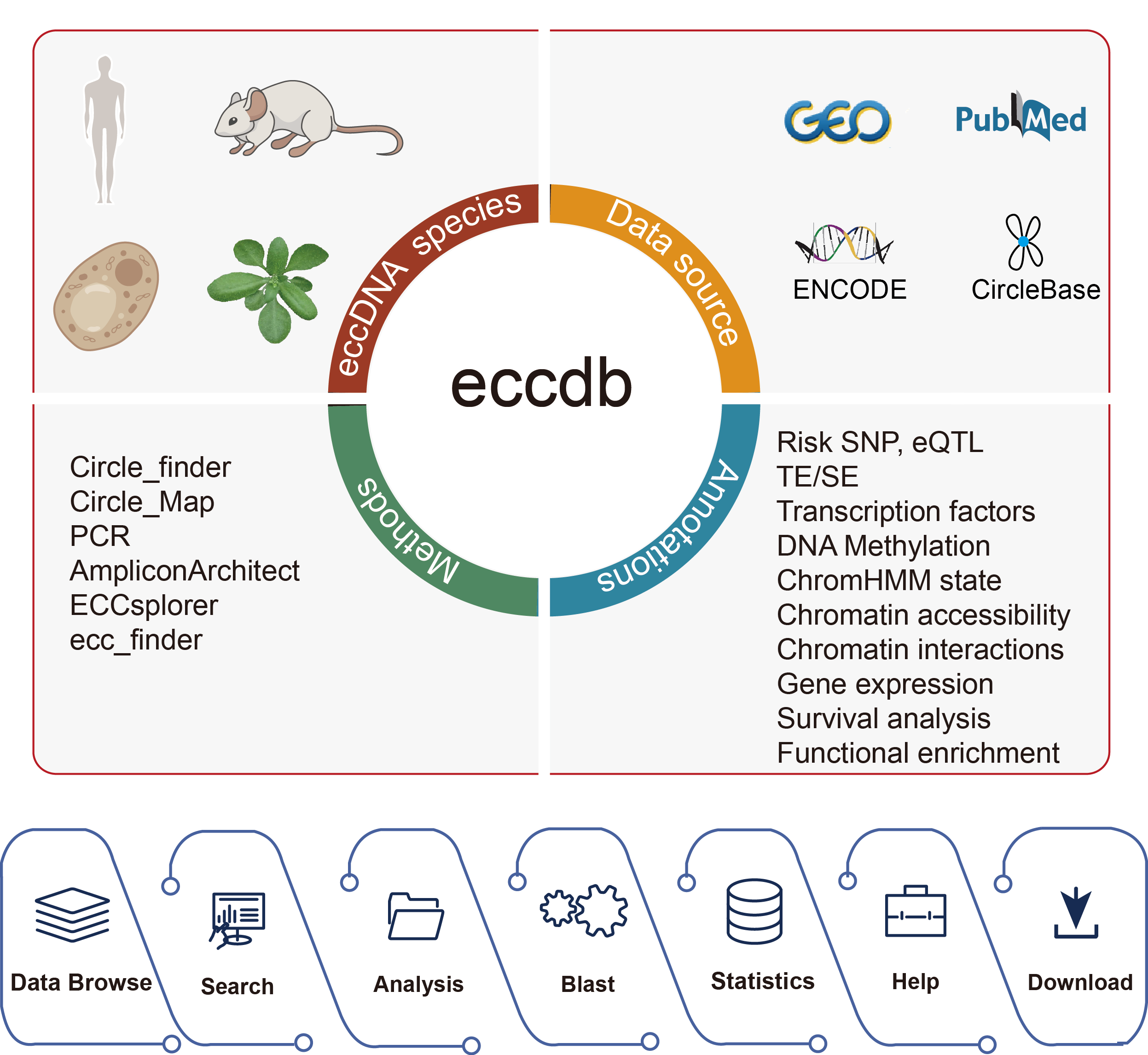 eccDB